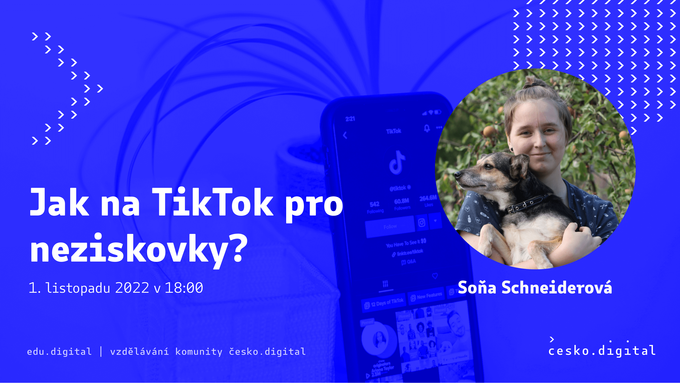 Jak na TikTok pro neziskovky? | Česko.Digital